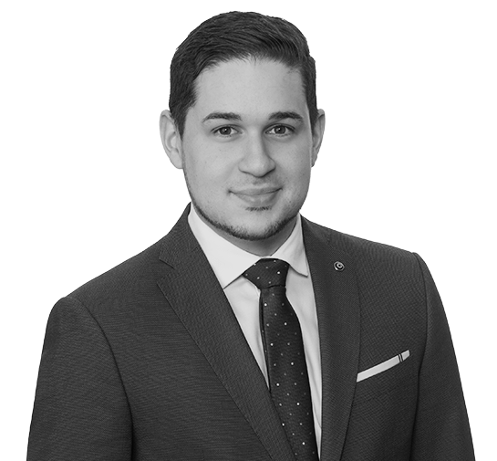 Luis Manuel Rico Román