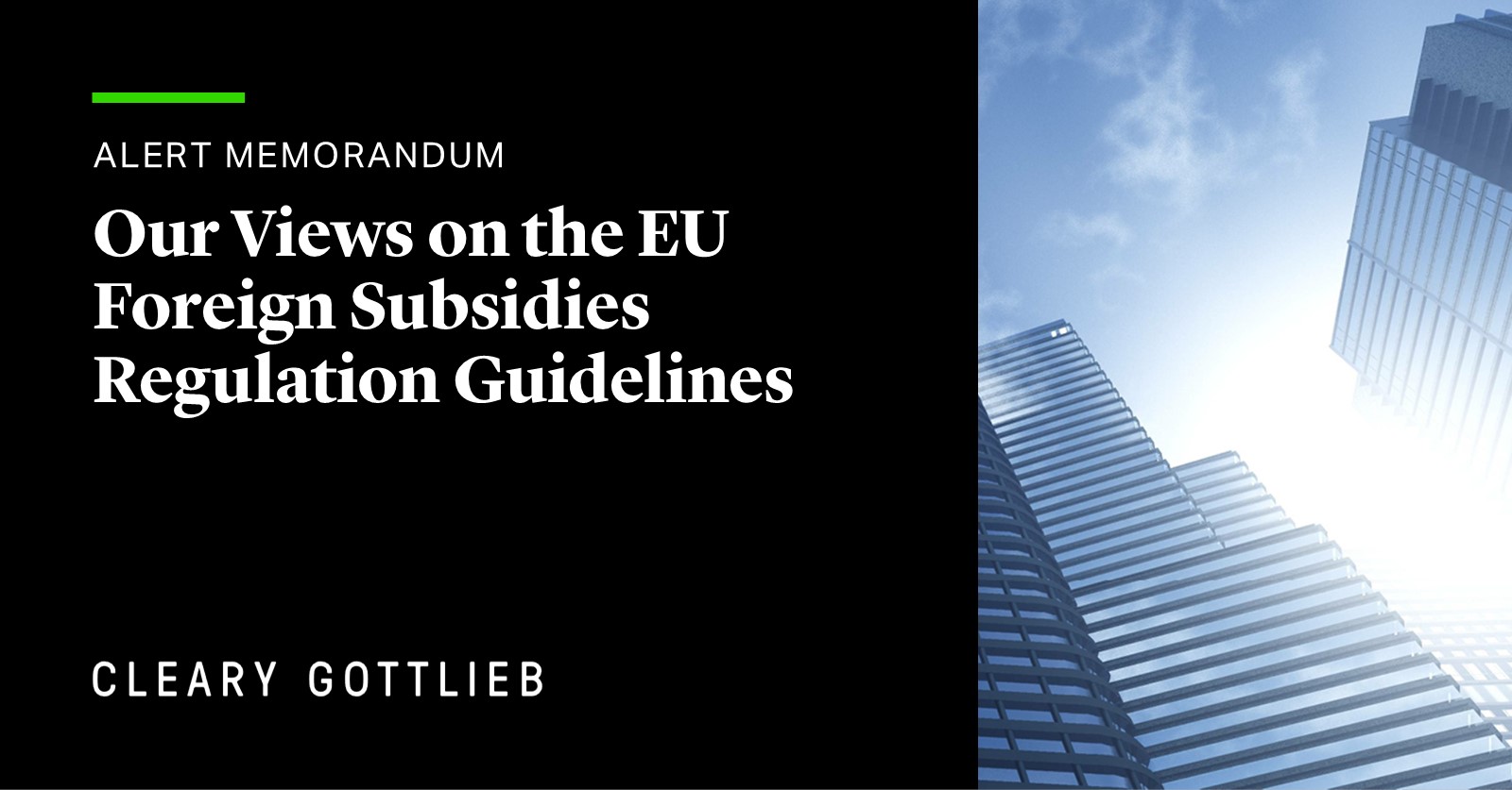 Our Views on the EU Foreign Subsidies Regulation Guidelines ...
