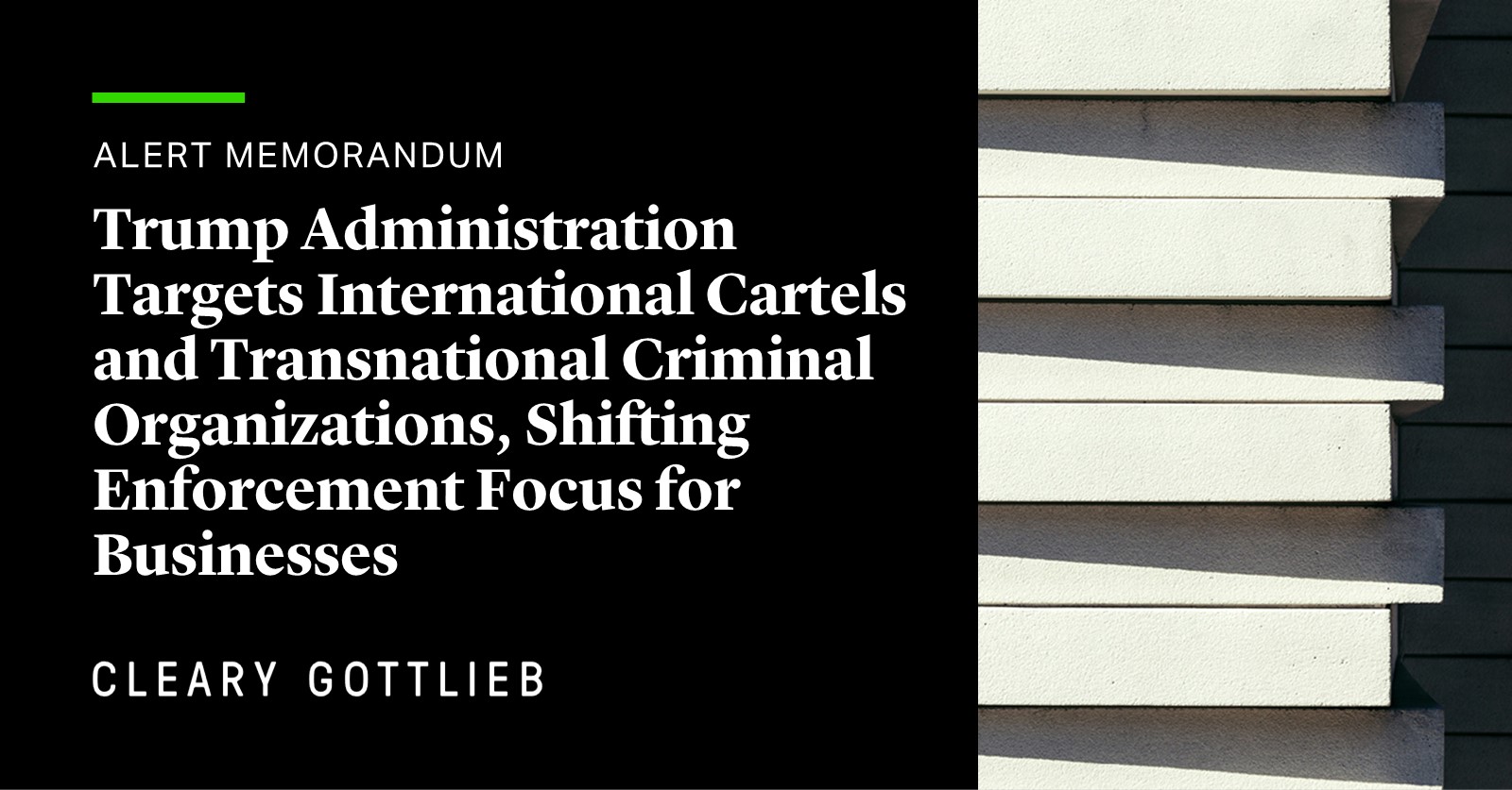 Trump Administration Targets International Cartels and Transnational ...